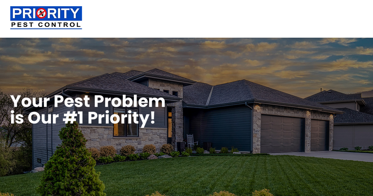 Sarpy County Pest Control | Priority Termite & Pest Control
